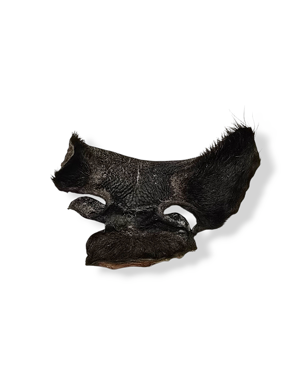 Furry Cow Snout - Dehydrated Long Lasting Dog Treats | Oz Pup Culture
